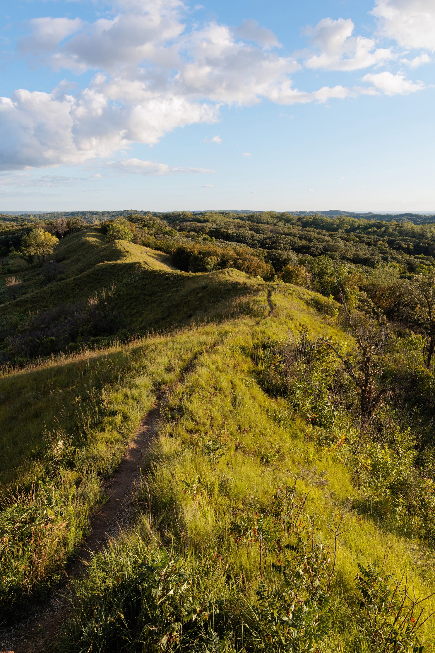 Ecological Community Partners | Sandhills Energy